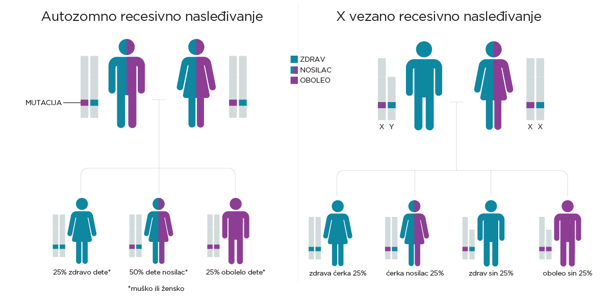 MyOrigin | Premium Genetics